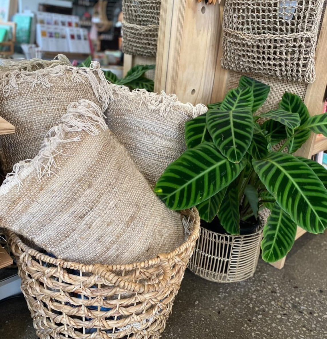 Cushions – Flo & Co Trading